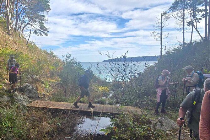 Michinoku Coastal Trail & Sea Kayak in Jodogahama - Logistics, Pricing, and Practical Considerations