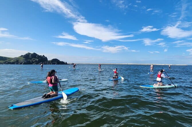 Michinoku Coastal Trail to Miyako SUP with Lunch - Exploring the Michinoku Coastal Trail to Miyako SUP with Lunch