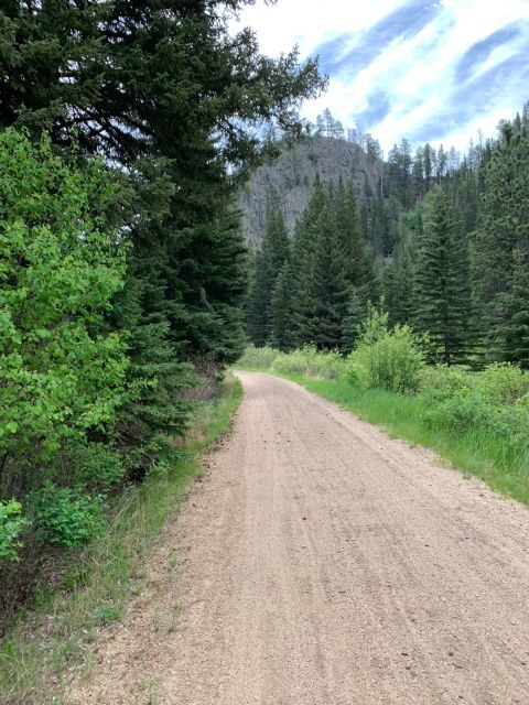 Mickelson Trail: 20-Mile Private Bicycle Tour - An In-Depth Look at the Mickelson Trail Tour