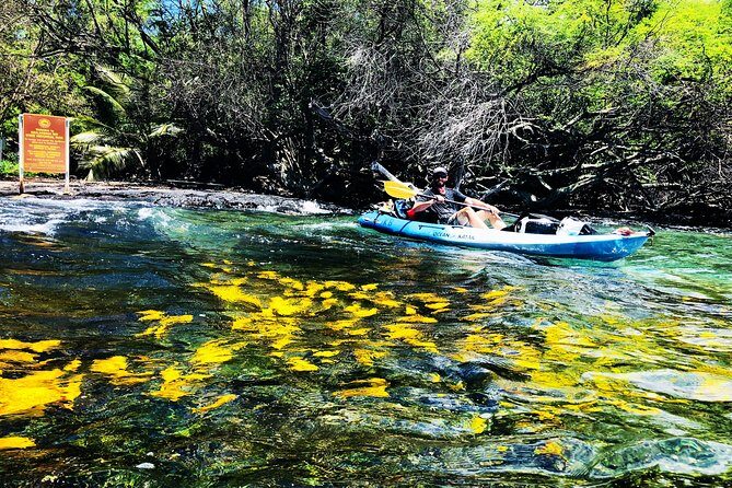 Midday Meander - Kealakekua Bay Kayak and Snorkel Adventure - Key Points