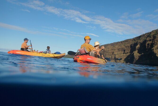Midday Meander - Kealakekua Bay Kayak and Snorkel Adventure - Why This Tour Stands Out