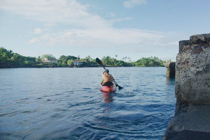 Midday Meander - Kealakekua Bay Kayak and Snorkel Adventure - Who Should Consider This Tour?
