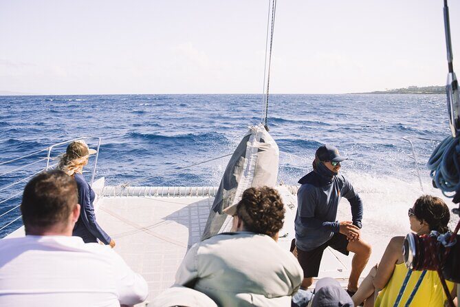 Midday Sail with the Whales Ma'alaea - What to Expect from the Experience