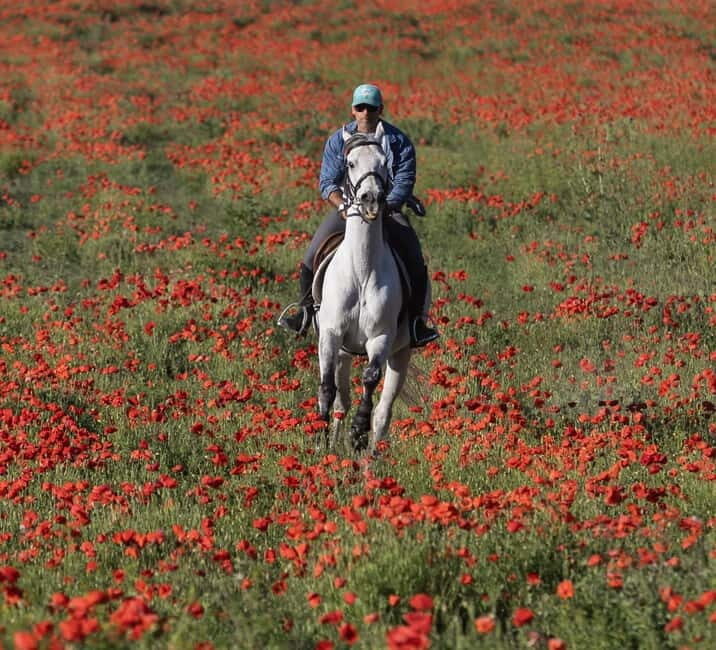 Middle day out of Rome: horsback riding adventure with meals - Key Points