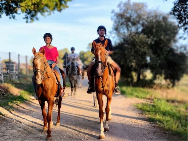Middle day out of Rome: horsback riding adventure with meals - Getting to the Heart of the Experience