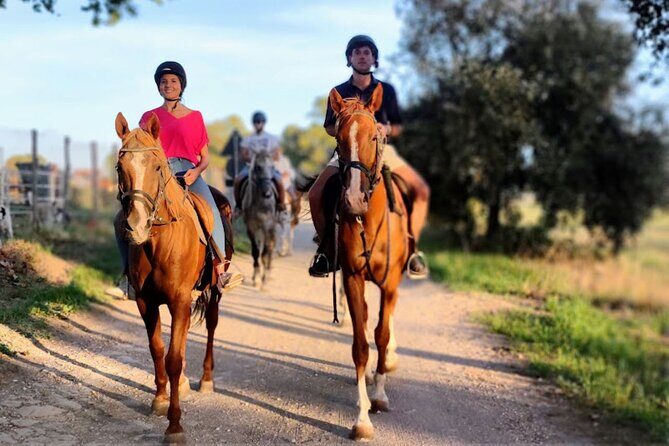 Middle day out of Rome on Horseback with meals included - An In-Depth Look at the Experience