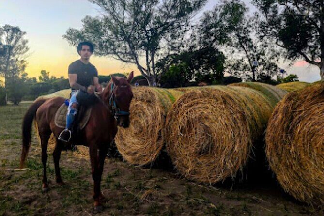Middle day out of Rome on Horseback with meals included - Final Words