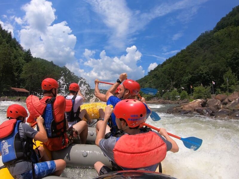 Middle Ocoee Whitewater Rafting Trip - An In-Depth Look at the Middle Ocoee Whitewater Experience