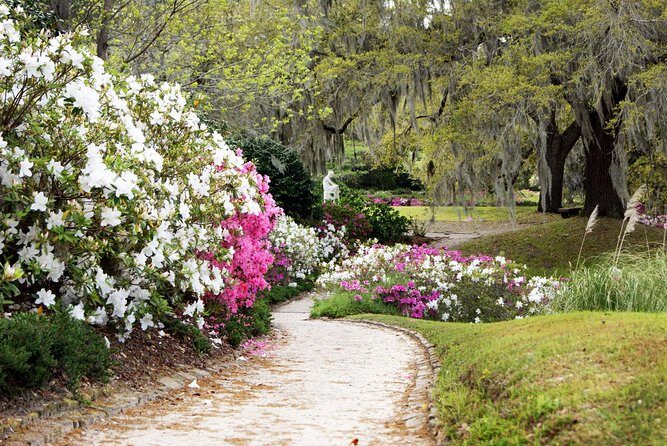 Middleton Place Admission with Self Guided Tour and Lunch - Authenticity and Value