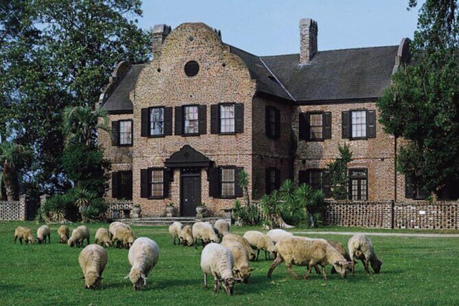 Middleton Place Plantation - 3 hour guided tour - hotel pickup - Starting with Charleston’s Historic District