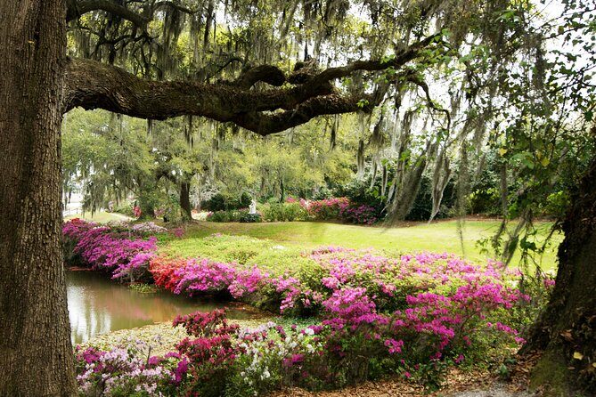 Middleton Place Tour with Lunch and Transportation - Exploring Middleton Place: What You Can Expect