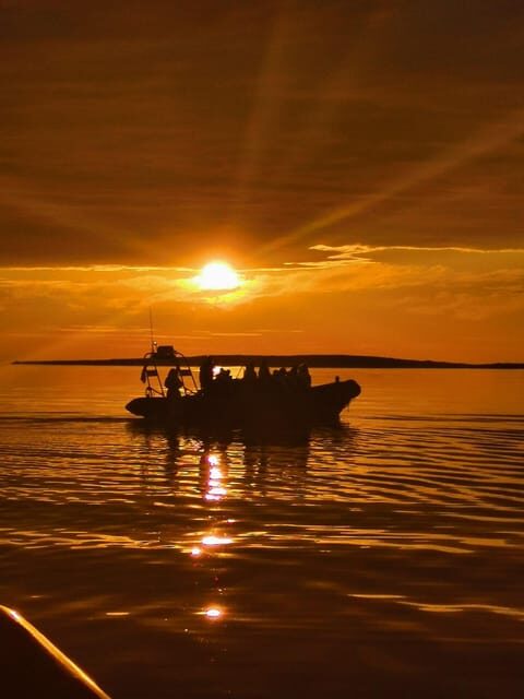 Midnight sun safari - The Experience: What You Can Expect