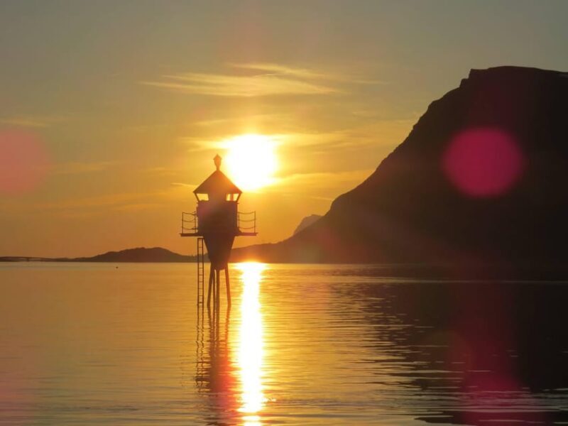 Midnight sun safari - Authentic Experiences and Practical Tips