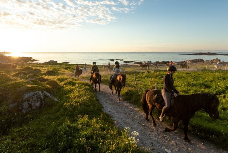 Midnight sun tour - Authentic Experiences and Guest Feedback