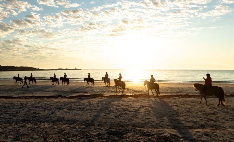 Midnight sun tour - Who Will Love This Tour?