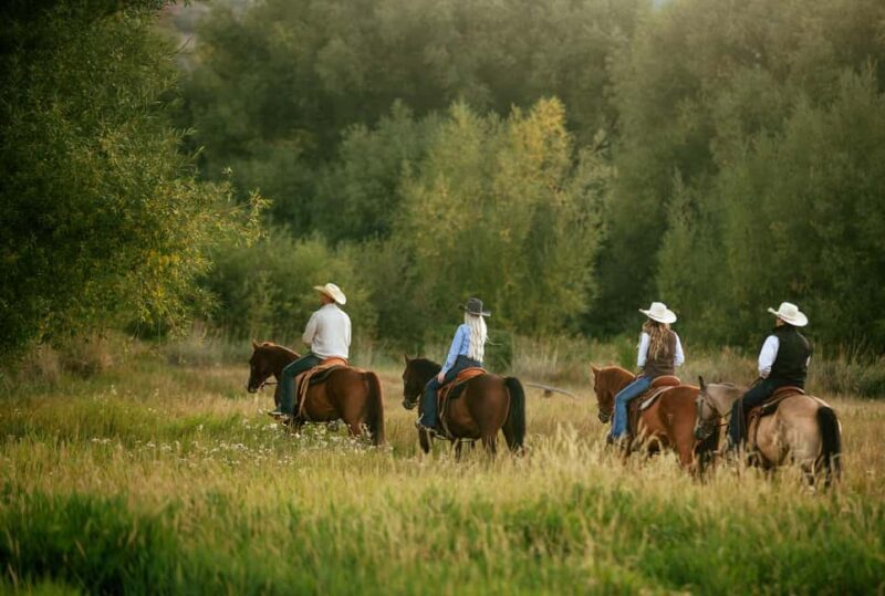 Midway, Utah: Horseback Riding Tour with Guide - An Overview of the Horseback Riding Experience in Midway