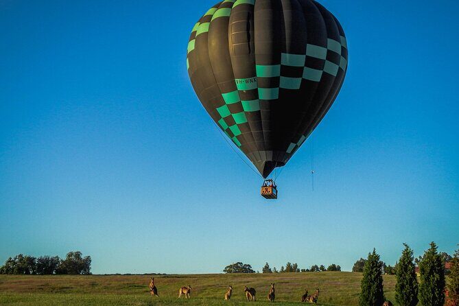 Midweek Hot Air Balloon Flight at Hunter Valley - Who Will Love This Experience?