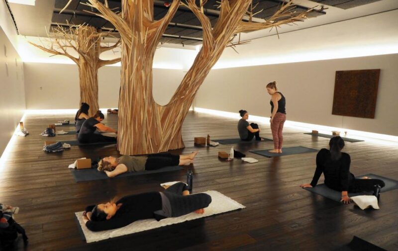 Midwest Multi-city Gym Pass - A Closer Look: What You Can Expect from the Experience