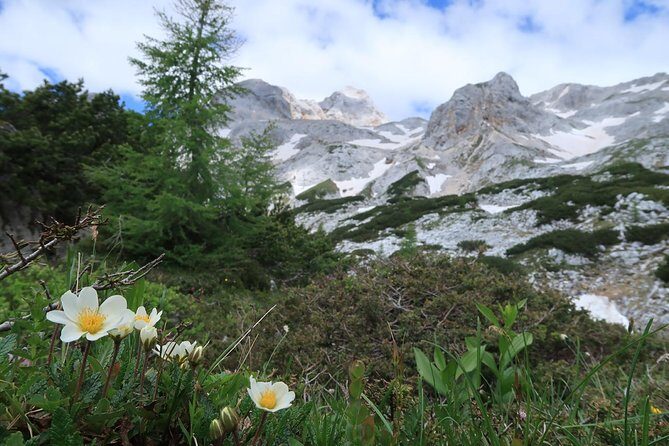 Mighty Mount Triglav Climb-summer Special-join Group - The Sum Up: Who Should Consider This Tour?
