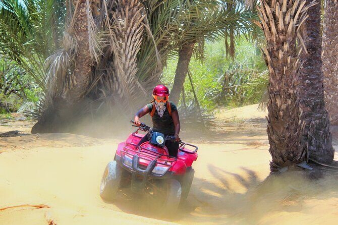 Migriño Beach ATV and Horseback Riding Experience - What’s in the Price? Is It Worth It?