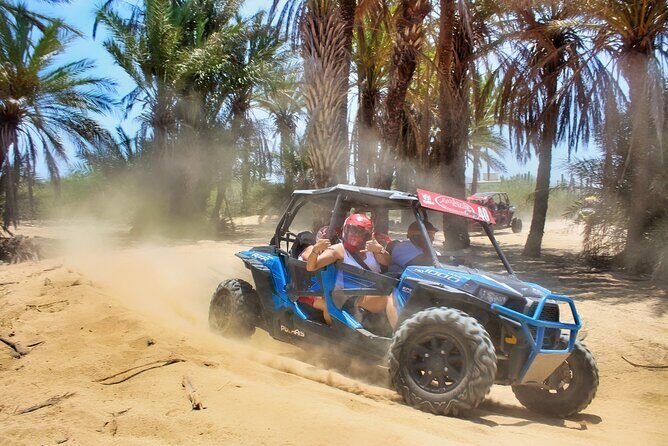 Migriño Beach Razor UTV Adventure - Who Will Love This Tour?