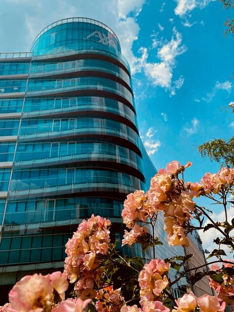 Milan: between innovation and eclectic (Porta Nuova & Isola) - Key Points