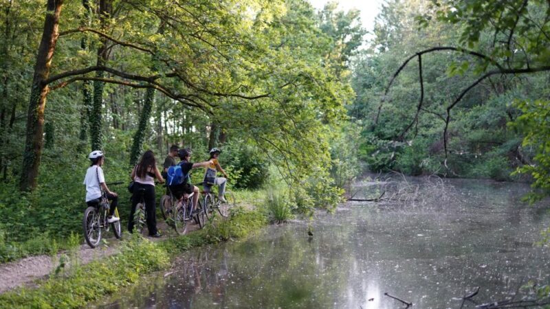 Milan: Bike Tour with Picnic on the turtle lake - What’s Included?