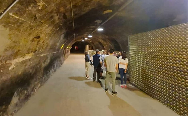 Milan: Brescia & Franciacorta with Wine Tasting Small Group - In-Depth Breakdown: Why This Tour Adds Value