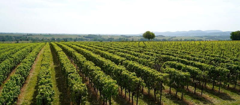 Milan: Brescia & Franciacorta with Wine Tasting Small Group - Final Thoughts