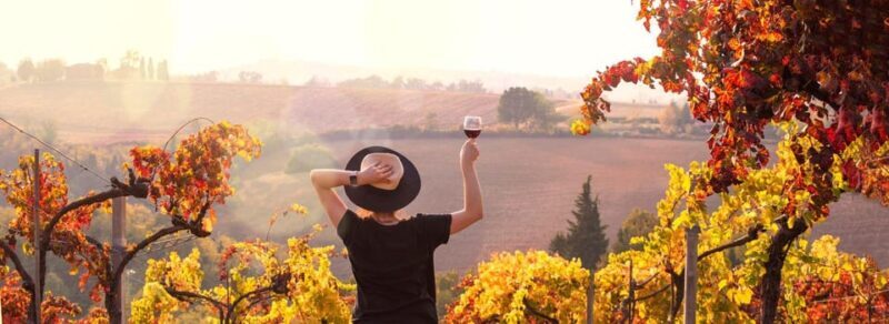 Milan Day Trips: Barolo Wine Tour with a Private Driver - Key Points