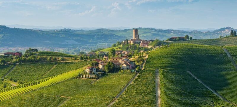 Milan Day Trips: Barolo Wine Tour with a Private Driver - An In-Depth Look at What to Expect