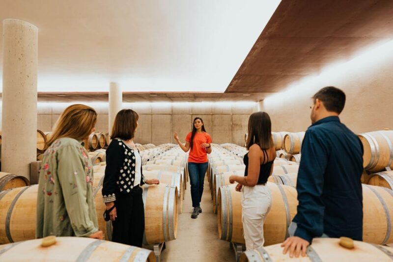 Milan Day Trips: Barolo Wine Tour with a Private Driver - Who Is This Tour Best For?