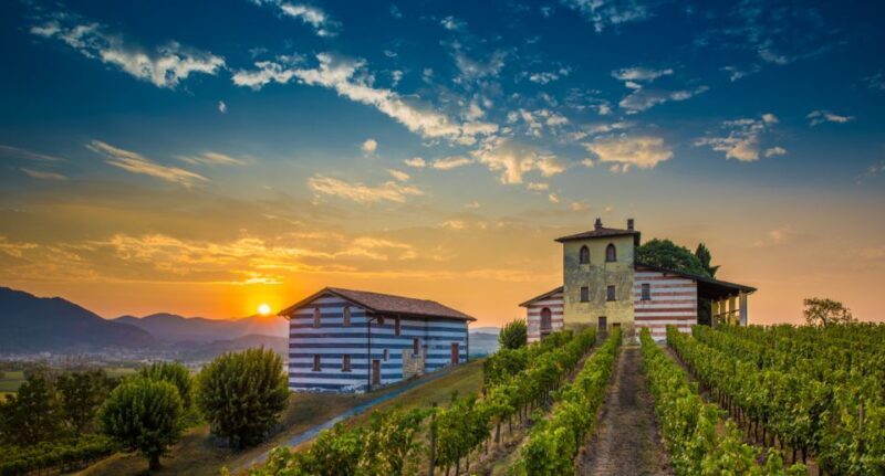 Milan: Franciacorta Winery and Bergamo Day Trip with Lunch - Discover the Best of Lombardy: Franciacorta Winery and Bergamo Day Trip