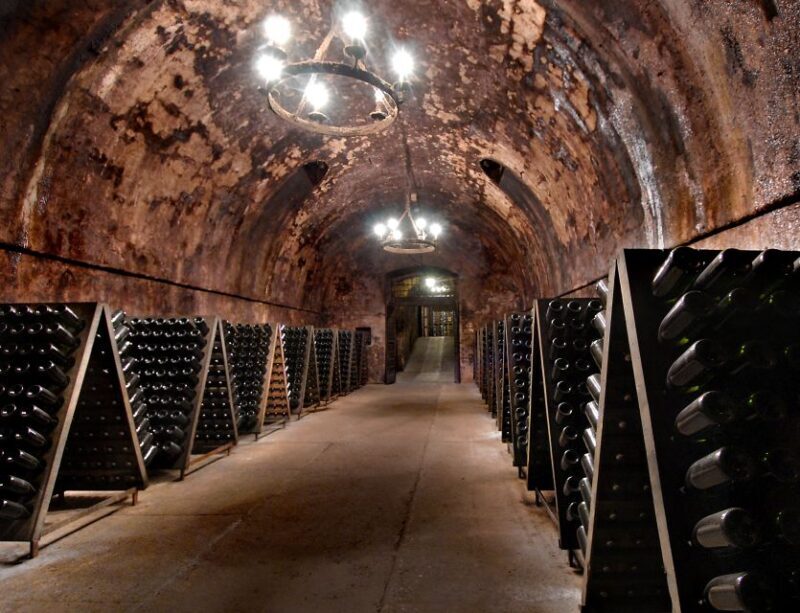 Milan: Franciacorta Winery and Bergamo Day Trip with Lunch - An Overview of the Tour Experience