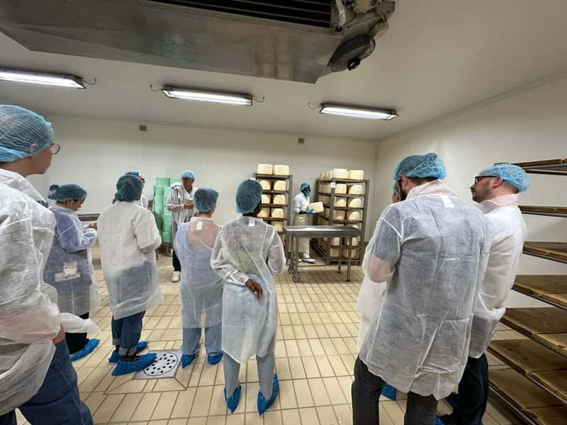 Milan: Home Gorgonzola Dinner, Overnight Stay & Dairy Visit - Cost and Value