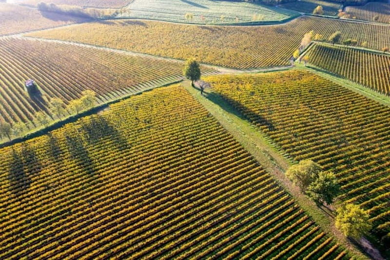 Milan: Lake Iseo & Franciacorta Wine Region with Cruise - How This Tour Adds Up