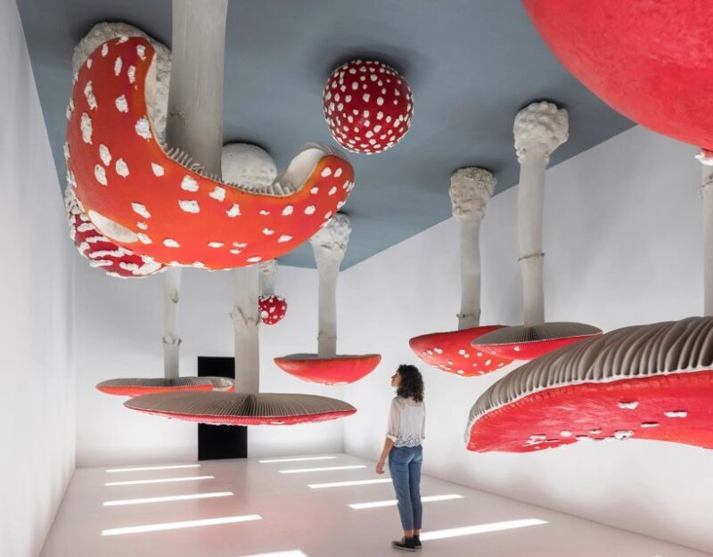 Milan: Private Tour - Duomo, Gelato Tasting & Prada Museum - Who Should Consider This Tour?