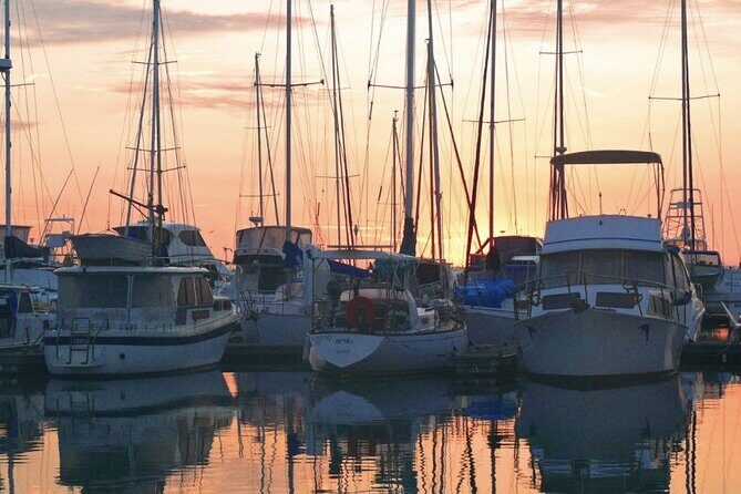 Milbi Sunset Cruise with Champagne and Prawns - Final Thoughts