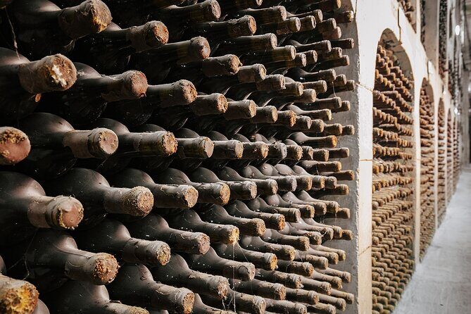 Milestii Mici Underground Winery Tour INCLUDING Wine tasting - Who Should Consider This Tour?
