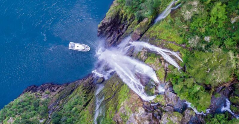 Milford Sound: Boutique Small-Boat Cruise - Key Points