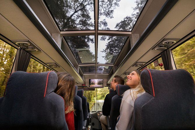 Milford Sound Coach & Cruise ex Te Anau Stunning Views with Lunch - An In-Depth Look at the Milford Sound Coach & Cruise Experience