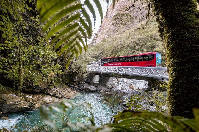 Milford Sound Coach & Cruise ex Te Anau Stunning Views with Lunch - Transport, Guides, and the Overall Experience