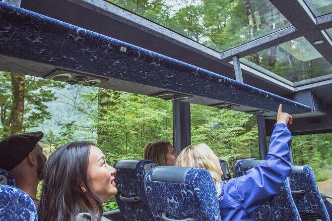 Milford Sound Coach & Cruise Tour from Te Anau - The Journey to Milford Sound: What to Expect