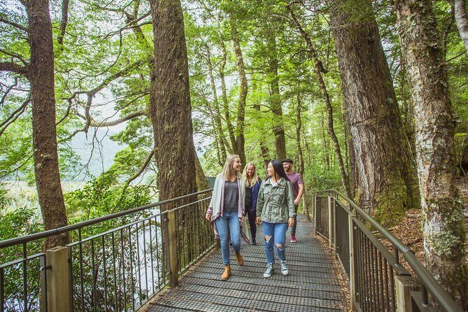 Milford Sound Coach & Cruise Tour from Te Anau - Who Will Love This Tour?