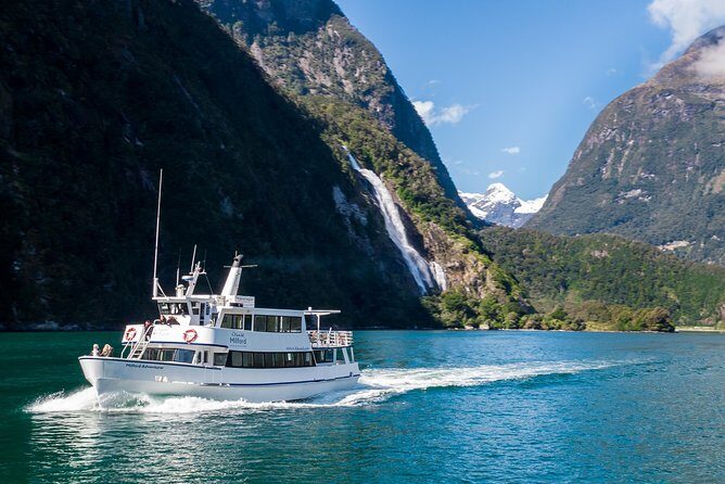 Milford Sound Cruise - Considerations and Practical Tips