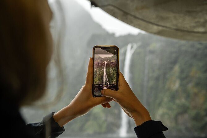 Milford Sound Cruise from Queenstown or Te Anau - Authentic Experiences and Review Highlights