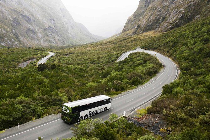 Milford Sound Cruise from Queenstown or Te Anau - Who Will Love This Tour?
