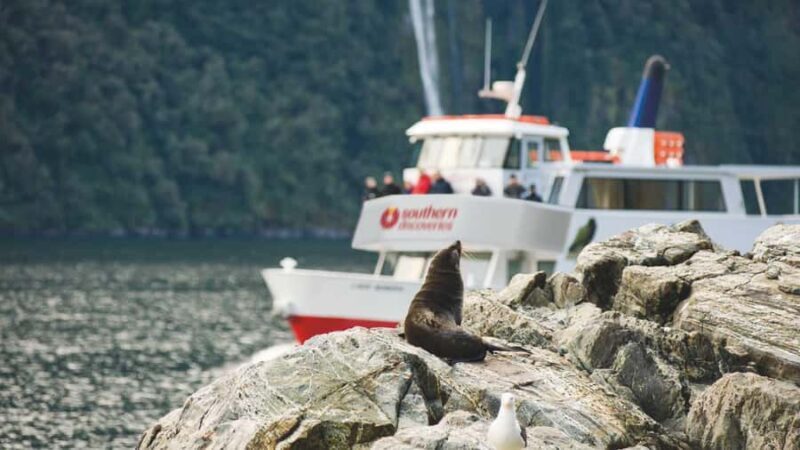Milford Sound: Discover More on Our Longest Cruise - Exploring Milford Sound on a Longer Cruise