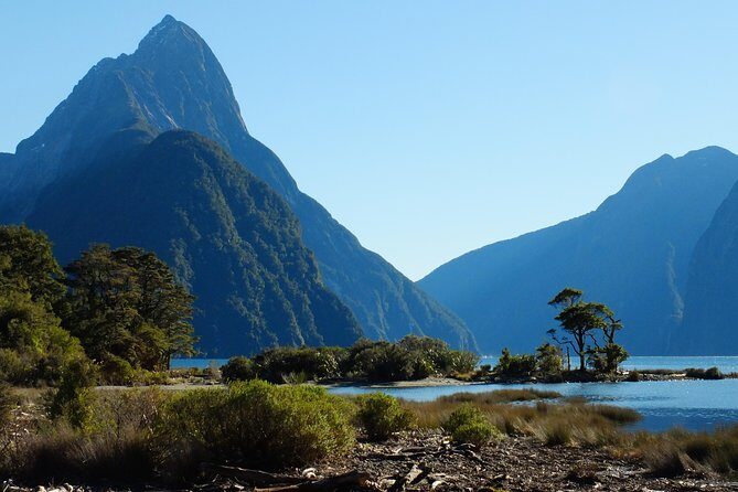 Milford Sound Discovery Tour - Travel Comfort and Logistics