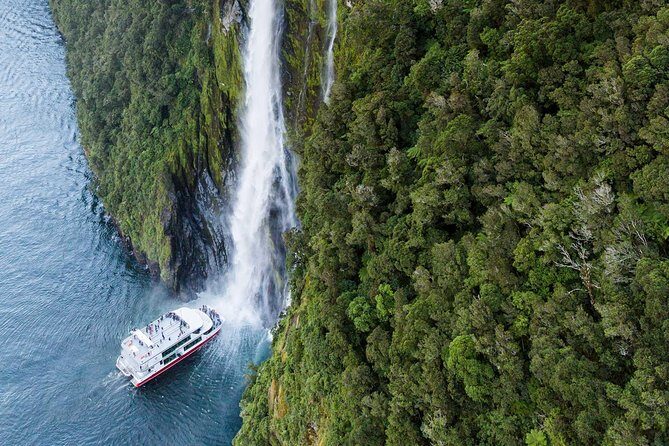 Milford Sound Luxury Lunch Cruise onboard The Fiordland Jewel - Who Is This Tour Best For?